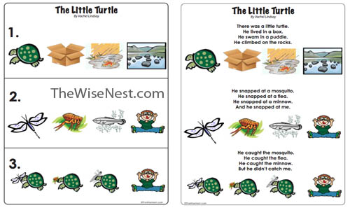 Poetry - The Little Turtle - The Wise Nest